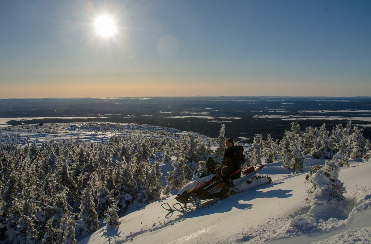 Caines Quest of Central NL